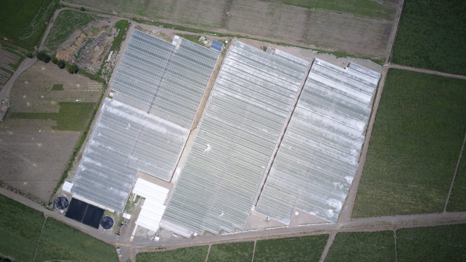 Types of plastic greenhouse cladding: which is the best